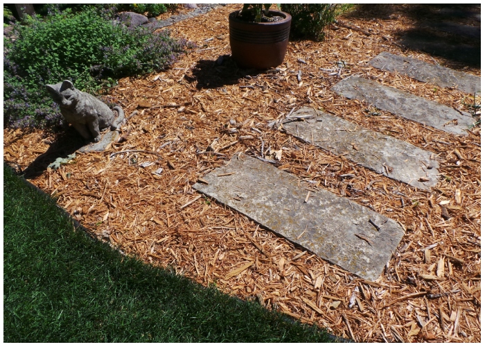 25 Stylish and Practical Garden Edging Ideas to Upgrade Your Backyard ...